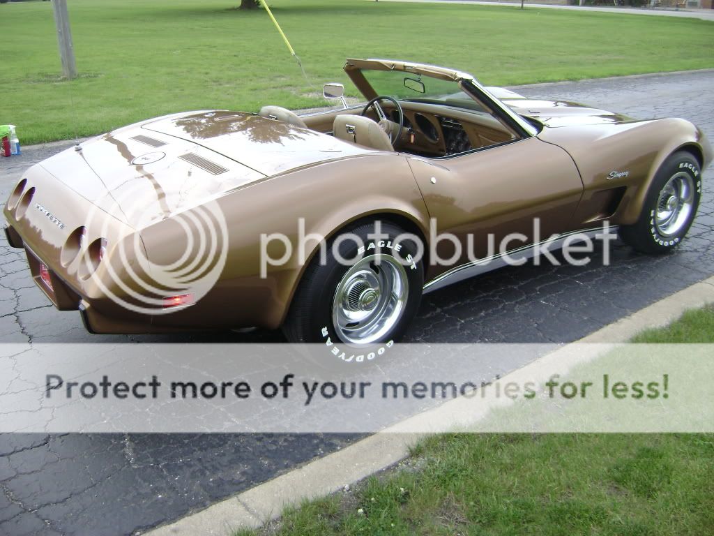 1975 Medium Saddle Color??? - CorvetteForum - Chevrolet Corvette Forum ...