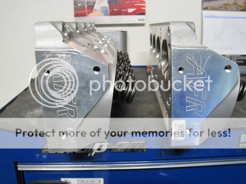 For Sale - AFR 225 Outlaw Race Heads Brand New, Cheap | Ford Mustang Forums