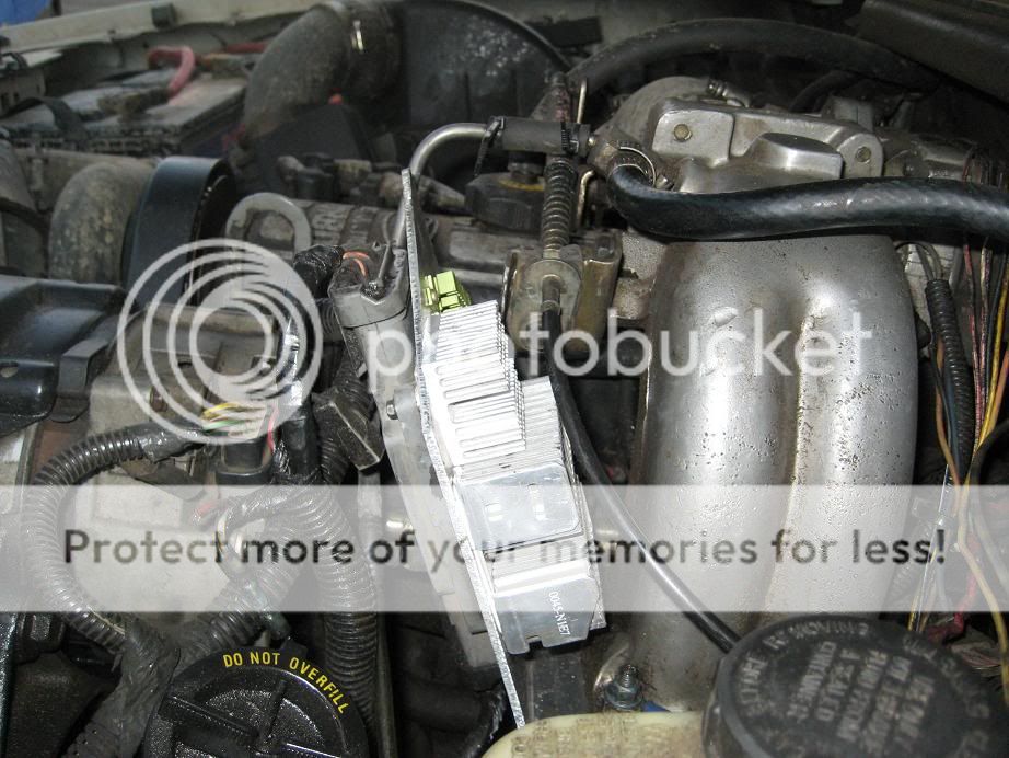 DIS Module | The Ranger Station