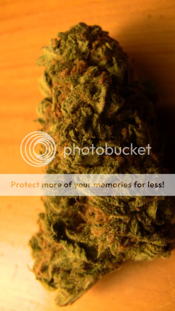 Sergei's Sticky Icky Pickups and Reviews | Grasscity.Forum|The World’s ...